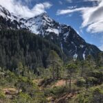 Private Guided Hike in Sitka, Alaska - Authentic Experiences Shared by Reviewers