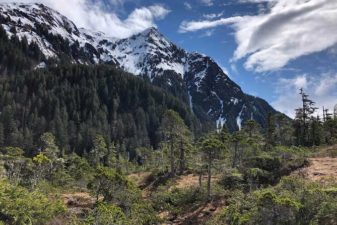 Private Guided Hike in Sitka, Alaska - Authentic Experiences Shared by Reviewers