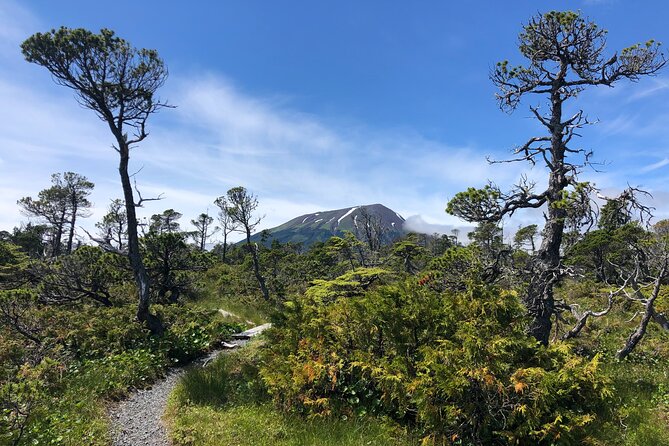 Private Guided Hike in Sitka, Alaska - The Price Point: Is It Worth It?