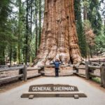 Private Guided Hiking Tour - Sequoia National Park - Why Travelers Love This Tour