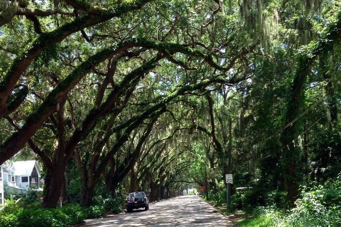 Private Guided Historic Electric Cart Tour of St. Augustine - Who Will Love This Tour?