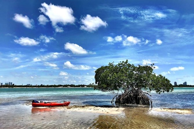 Private Guided Kayak or SUP Eco Adventure - Key Points