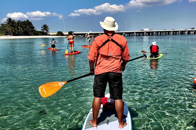 Private Guided Kayak or SUP Eco Adventure - In-Depth Look at the Tour Experience