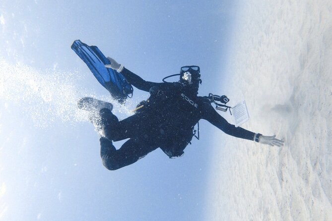 Private Guided Shore Dive - Key Points