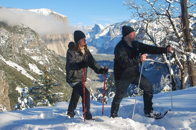 Private Guided Snowshoe Hike in Yosemite - What You Can Expect from the Itinerary