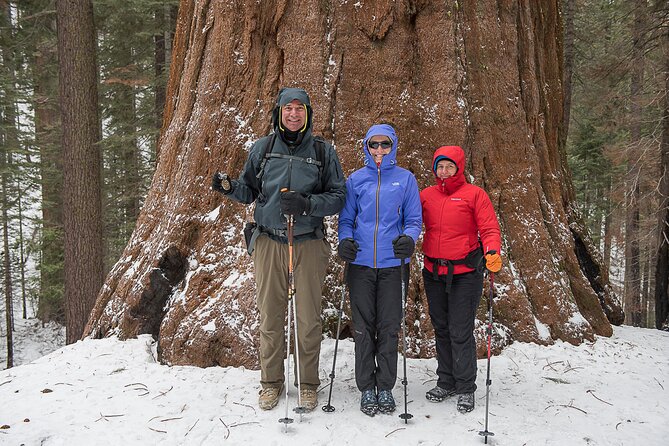 Private Guided Snowshoe Hike in Yosemite - Who Will Love This Experience?