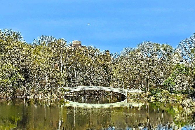 Private Guided Tour of Central Park - Final Thoughts: Is This Tour Worth It?