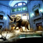 Private Guided Tour of The Natural History Museum - Highlights of the Tour