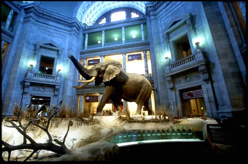 Private Guided Tour of The Natural History Museum - Highlights of the Tour