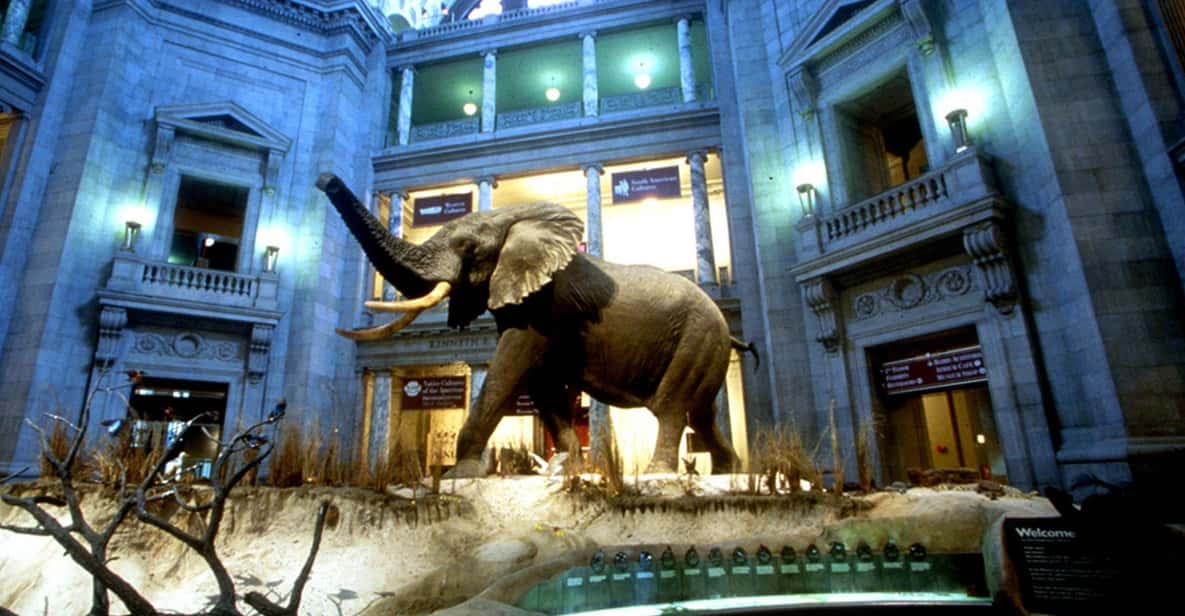 Private Guided Tour of The Natural History Museum - The Sum Up