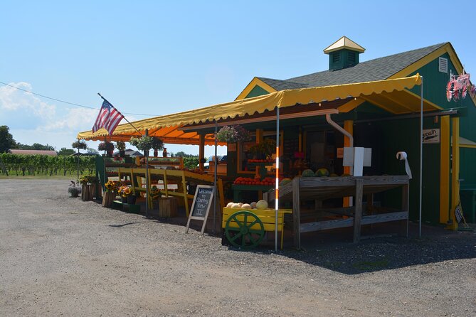 Private Guided Wine Country Bike Tour in Mattituck - Key Points