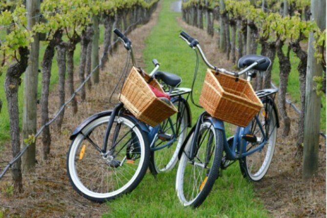 Private Guided Wine Country Bike Tour in Mattituck - A Closer Look at the Tour Itinerary