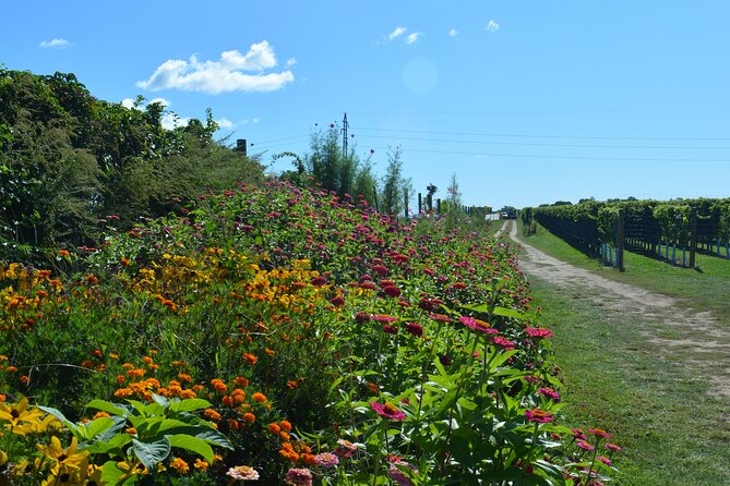 Private Guided Wine Country Bike Tour in Mattituck - Final Thoughts: Who’s This Tour Best Suited For?