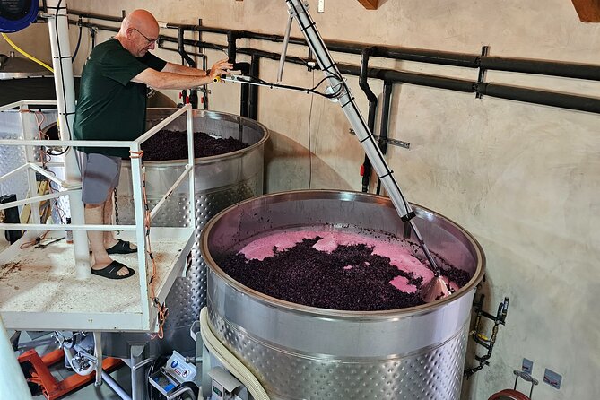 Private Guided Wine Tour of Napa Valley - An Overview of What to Expect