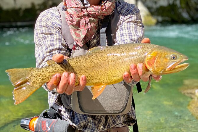 Private Half-day Fly Fishing - Key Points  