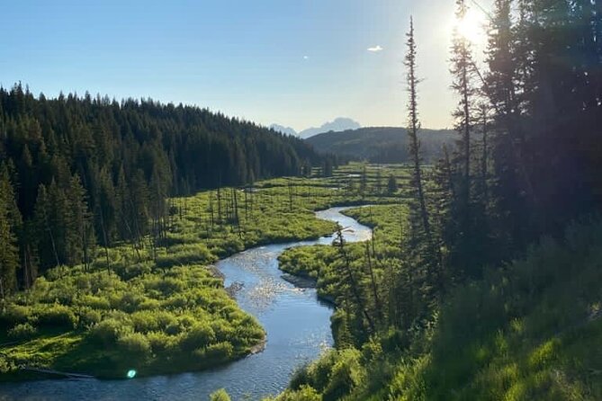 Private Half-day Fly Fishing - Who Will Love This Tour?  