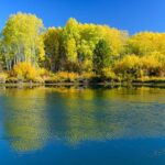 Private Half-Day Photo Tours - The Sum Up: Is It Worth It?