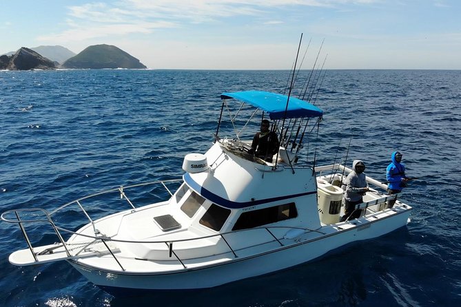 Private Half-Day San Diego Fishing Trip for up to 4 People - An In-Depth Look at the Experience