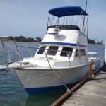 Private Half-Day San Diego Fishing Trip for up to 4 People - Who Will Love This Tour?