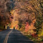 Private Half-Day Scenic Drive Through Salt Lake's Best Canyons - What You Can Expect from the Experience