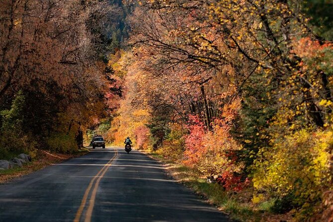 Private Half-Day Scenic Drive Through Salt Lake's Best Canyons - What You Can Expect from the Experience