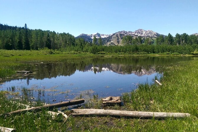 Private Half-Day Scenic Drive Through Salt Lake's Best Canyons - The Sum Up