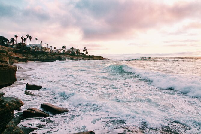 Private Half-Day Tour of San Diego with a driver-guide - FAQs