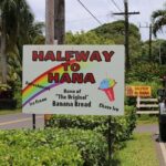 Private Halfway to Hana Tour - The Full Experience: What Makes This Tour Stand Out