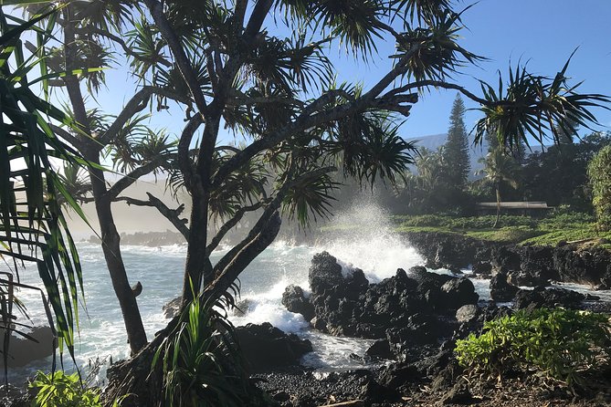Private Halfway to Hana Tour - Who Is This Tour Best For?