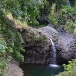 Private Hana Waterfalls Tour - Transportation: Comfort and Convenience