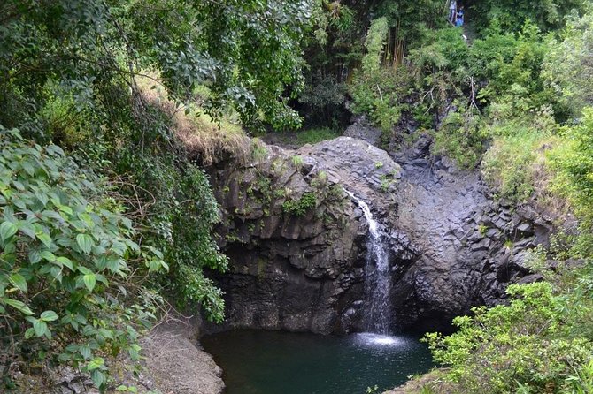 Private Hana Waterfalls Tour - Transportation: Comfort and Convenience