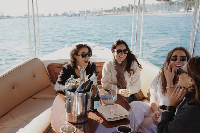 Private Harbor Cruise on Electric Boat in Santa Barbara - Practical Tips for Your Harbor Cruise Experience