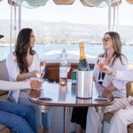 Private Harbor Cruise on Electric Boat in Santa Barbara - Who Should Consider This Tour?