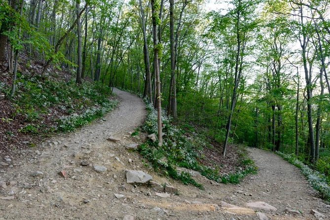 Private Hike/Wineries/Walkway Over the Hudson/1 night Hotel - Who Should Consider This Tour