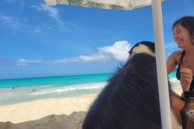 Private Hiking and Beaches Tour in Kailua Town - Authentic Experiences & Insider Tips