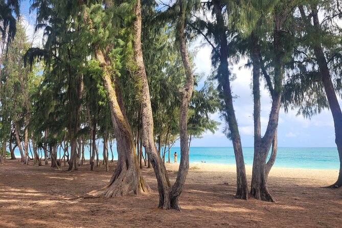Private Hiking and Beaches Tour in Kailua Town - FAQ