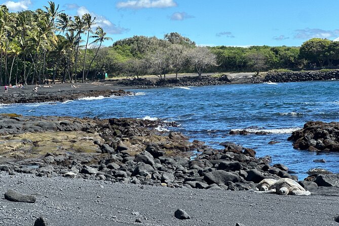 Private Hilo Shore Excursion to Volcano Waterfall and Black Sand - Practical Details & Value