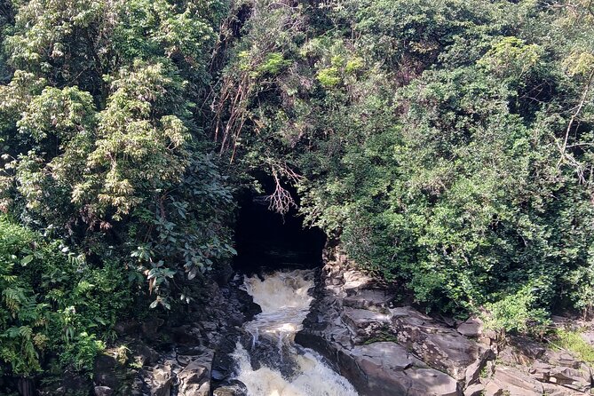 Private Hilo Shore Excursion Volcano National Park up to 14 - Who Is This Tour Best For?