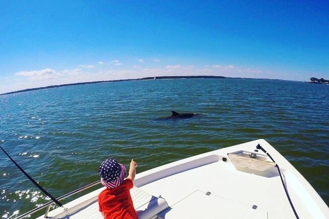 Private Hilton Head Dolphin Tour - Who Is This Tour Perfect For?