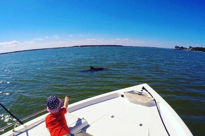 Private Hilton Head Dolphin Tour with Waterfront Dining Stop - Who Will Love This Tour?