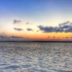 Private Hilton Head Dolphin Tour with Waterfront Dining Stop - Final Thoughts