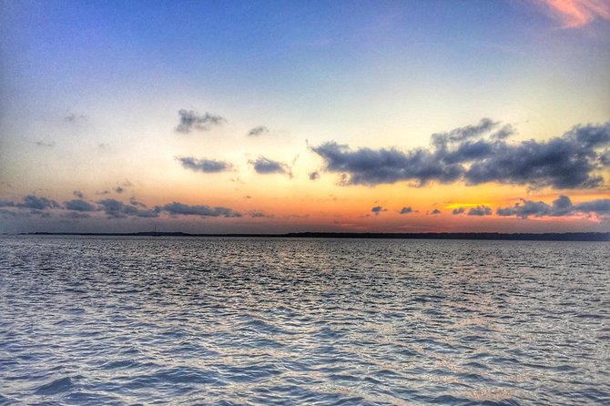 Private Hilton Head Dolphin Tour with Waterfront Dining Stop - Final Thoughts