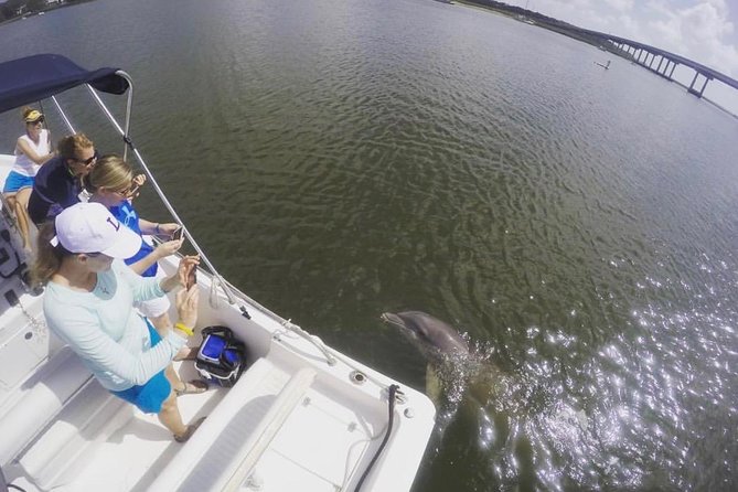 Private Hilton Head Sunset Dolphin Tour - Final Thoughts