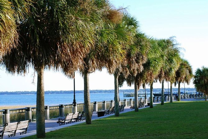 Private Historic Horse & Carriage Tour of Charleston - The Highlights: What Travelers Love Most