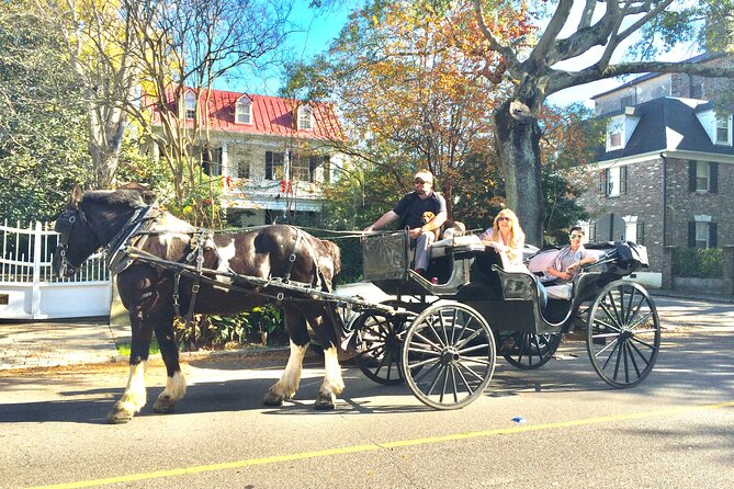 Private Historic Horse & Carriage Tour of Charleston - Who Should Consider This Tour?