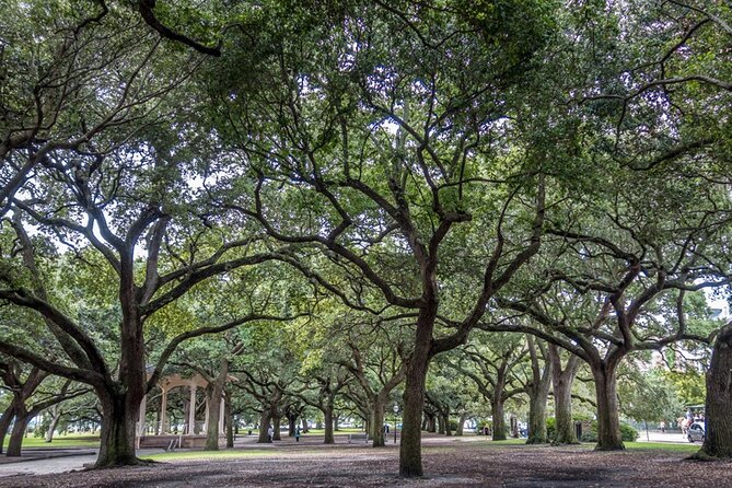 Private Historic Horse & Carriage Tour of Charleston - Practical Tips for Your Ride