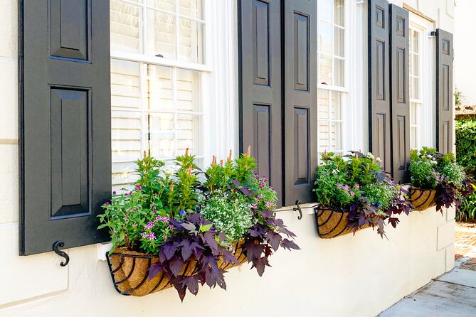 Private Historic Horse & Carriage Tour of Charleston - Frequently Asked Questions