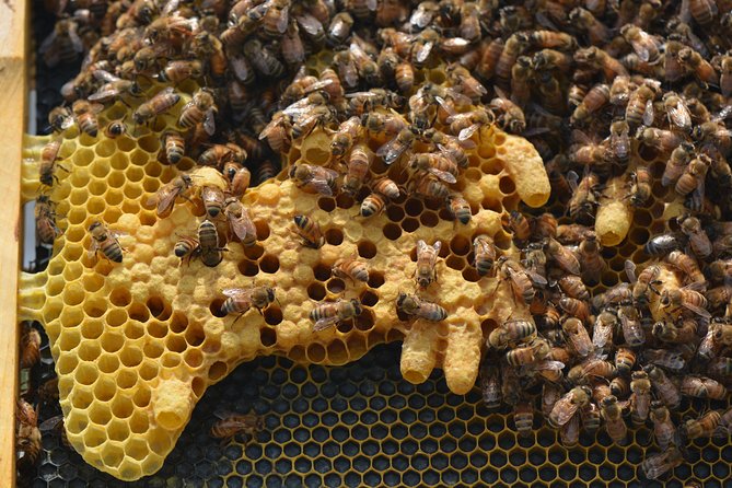 Private Hive Tour - FAQ