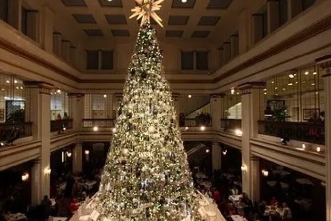 Private Holiday City Tour - Exploring the Chicago Private Holiday City Tour in Detail  