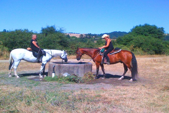 Private Horseback Riding and Muir Woods Adventure from San Francisco - Exploring the Private Horseback Riding and Muir Woods Adventure from San Francisco